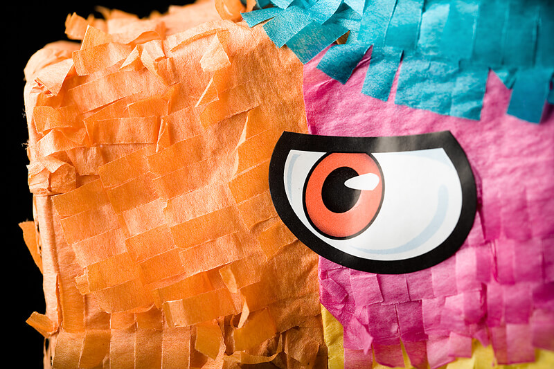 Pinata » Early Childhood Education » Surfnetkids