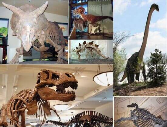 10 Facts About Dinosaurs » Almanac » Surfnetkids